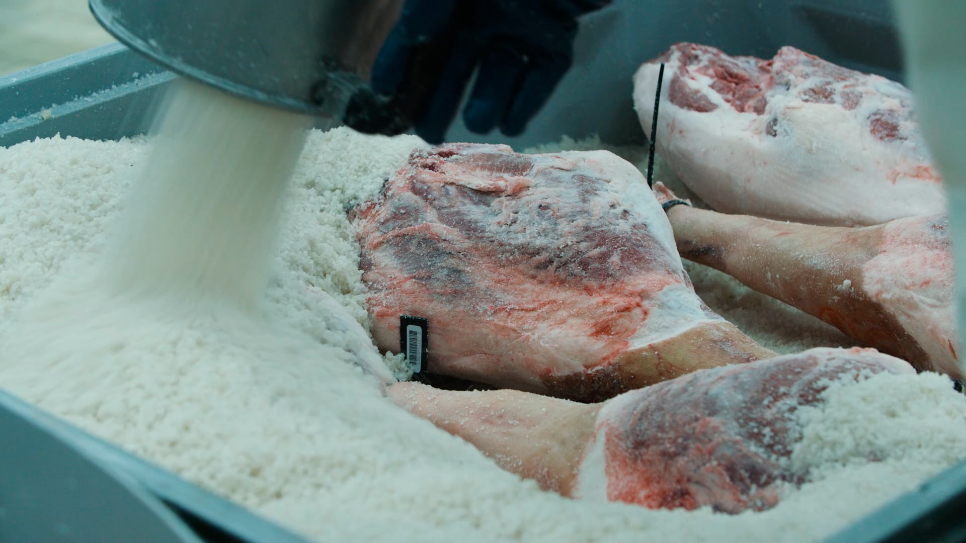 The Beginning of a Gastronomic Gem: the Art of Salting Acorn-Fed 100% ...